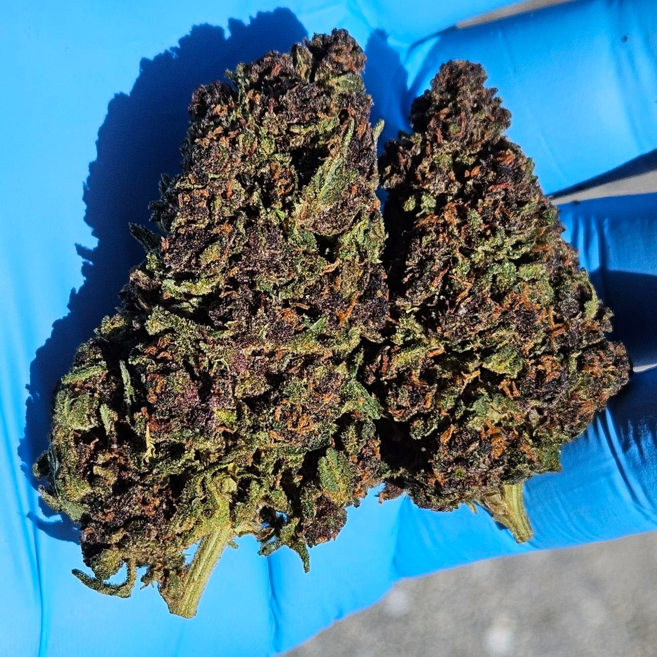 THCA Grape Frosty Exotic Hemp Flower | Sticky Nuggs